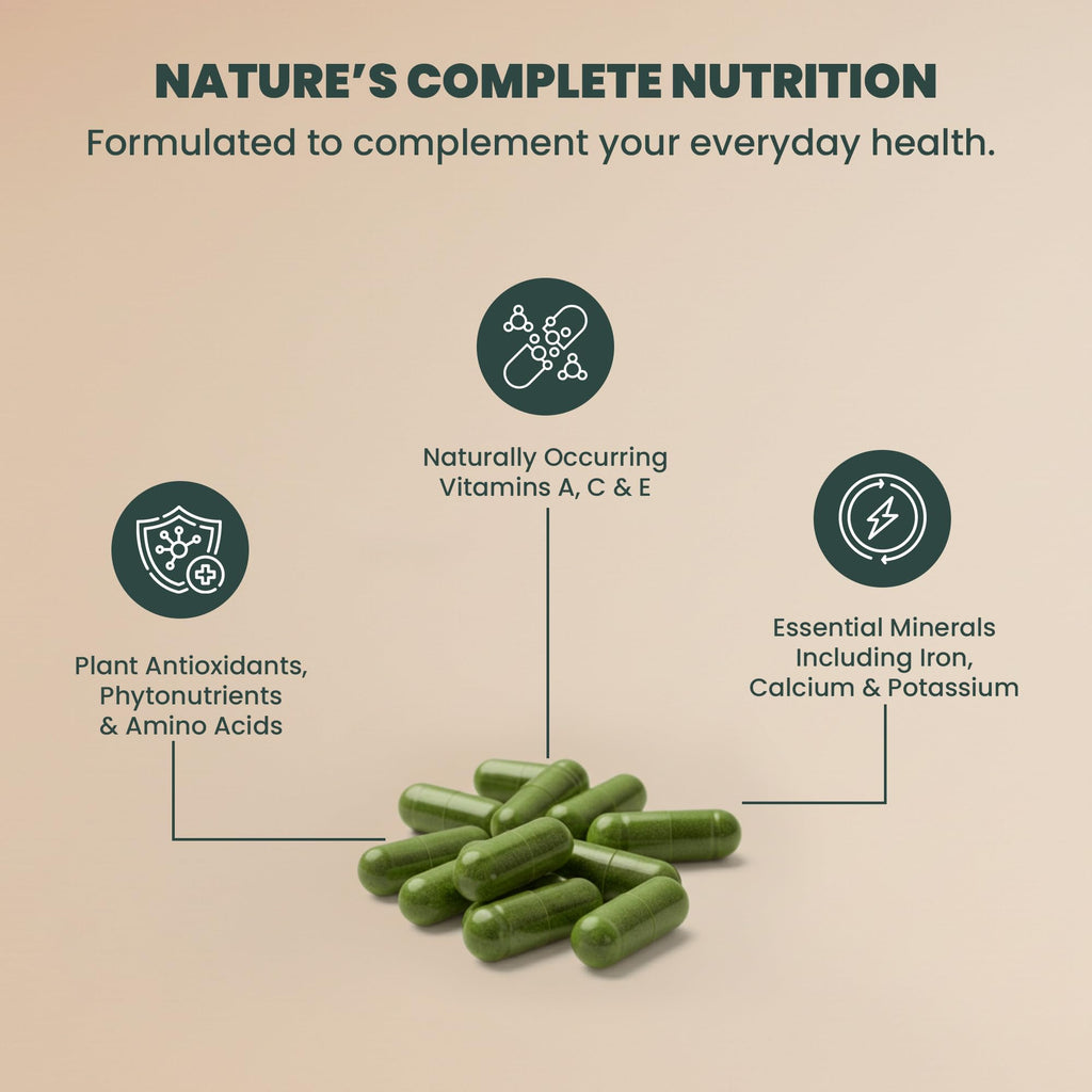 natural moringa for immune support