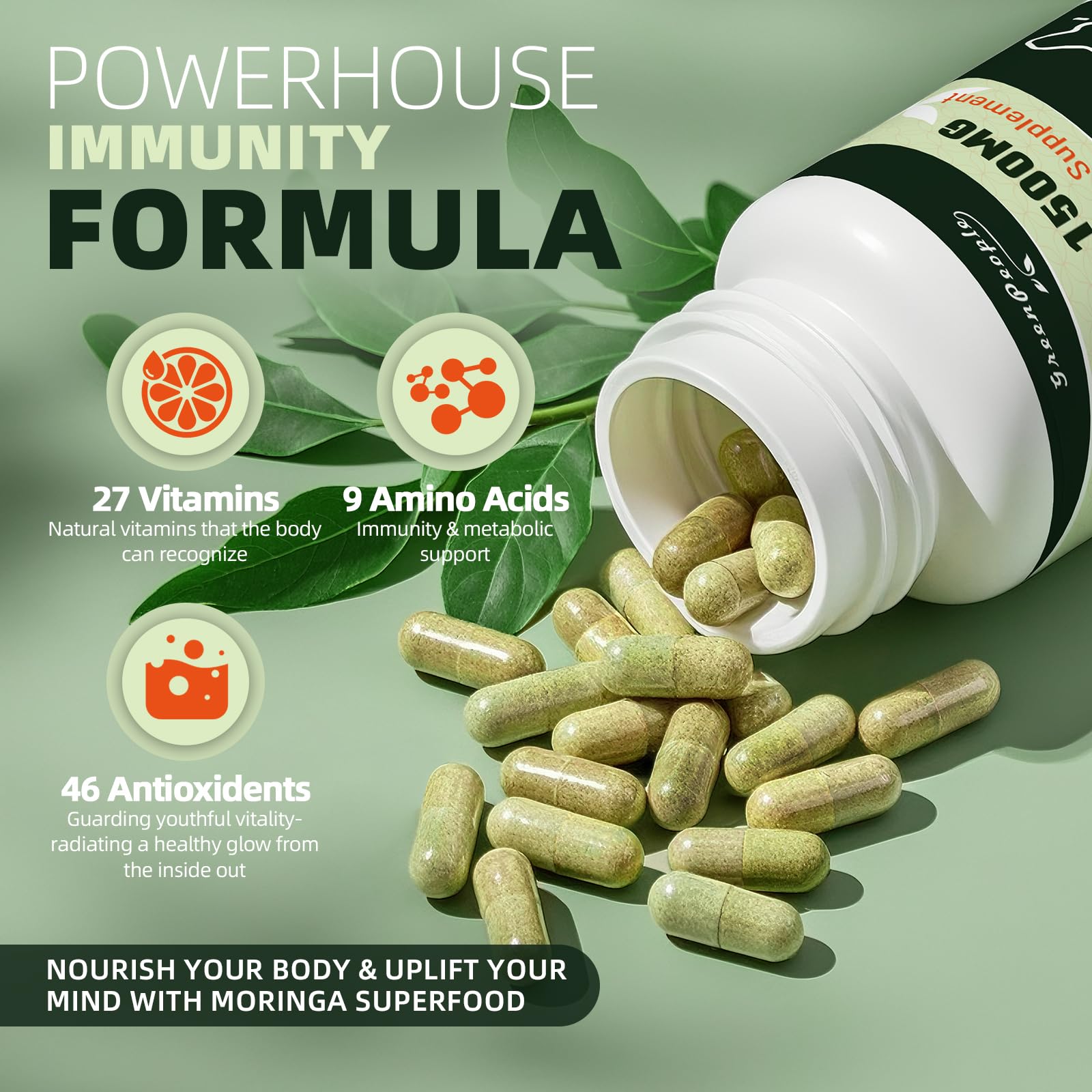 natural moringa powder in capsule form