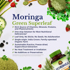 natural moringa supplement for energy