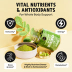 natural moringa supplement for wellness