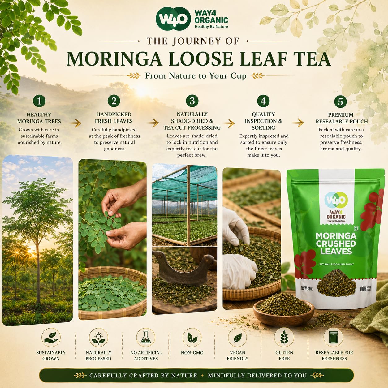 natural moringa tea for detox