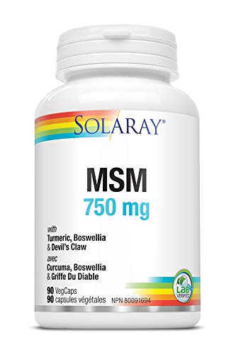 natural msm capsules for wellness