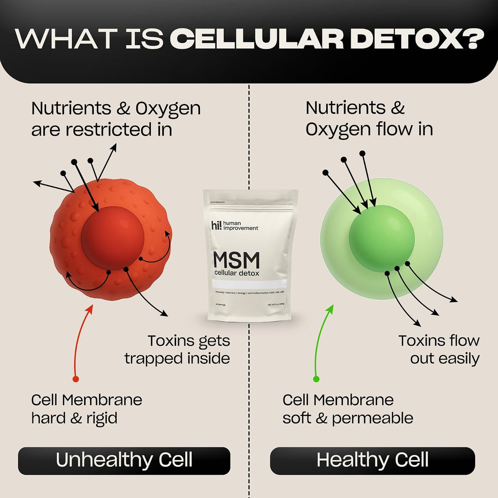 natural msm powder for inflammation relief