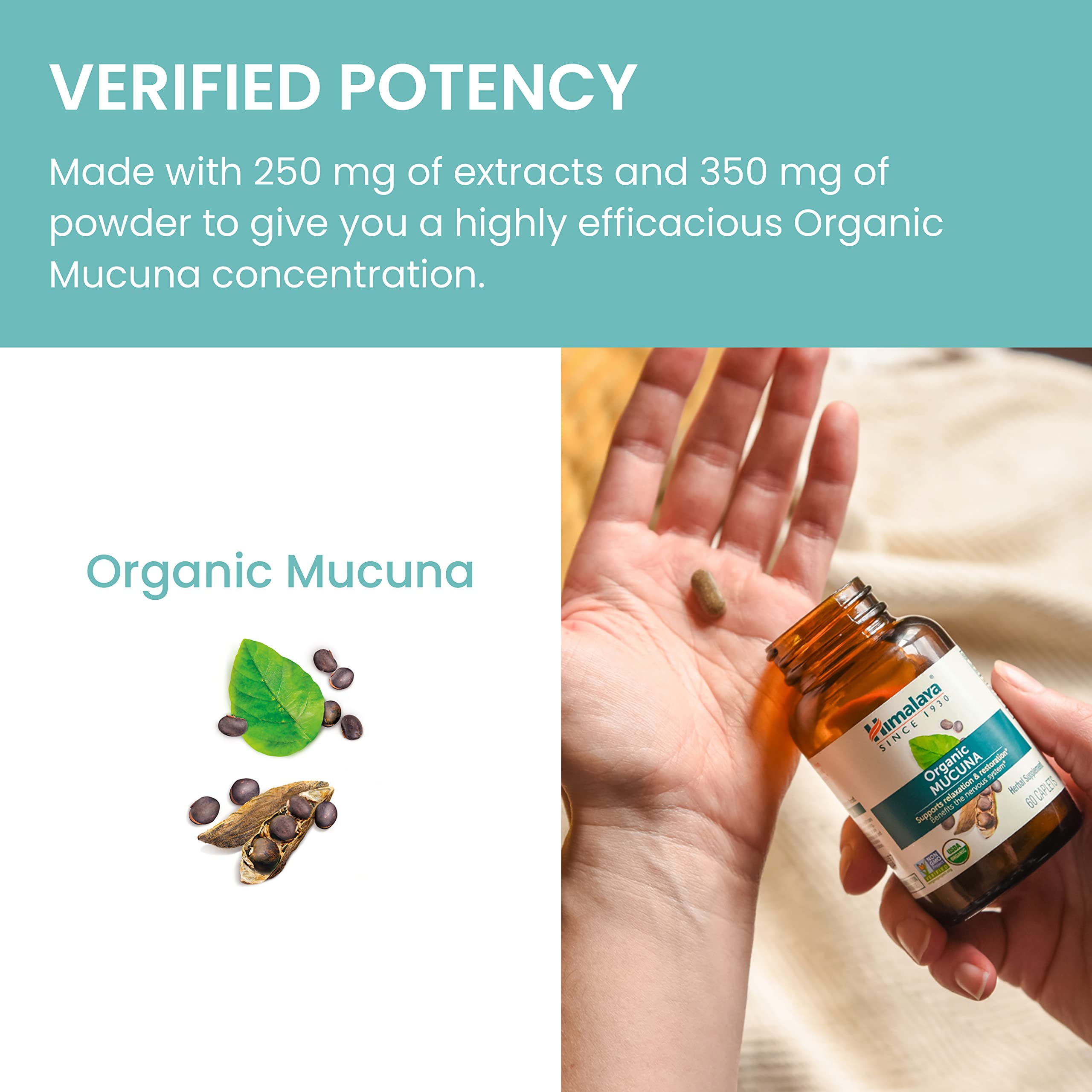 natural mucuna pruriens for cognitive function