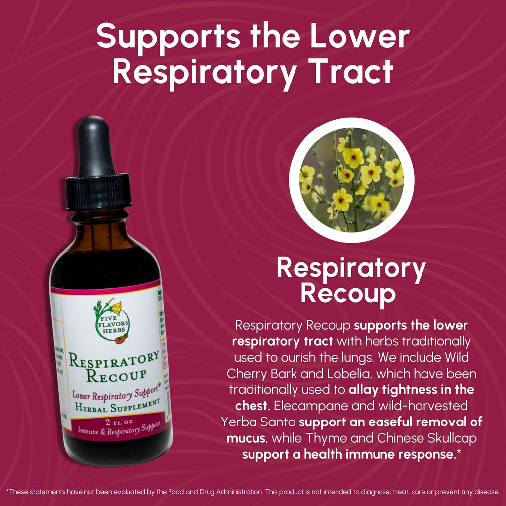 natural mucus relief echinacea