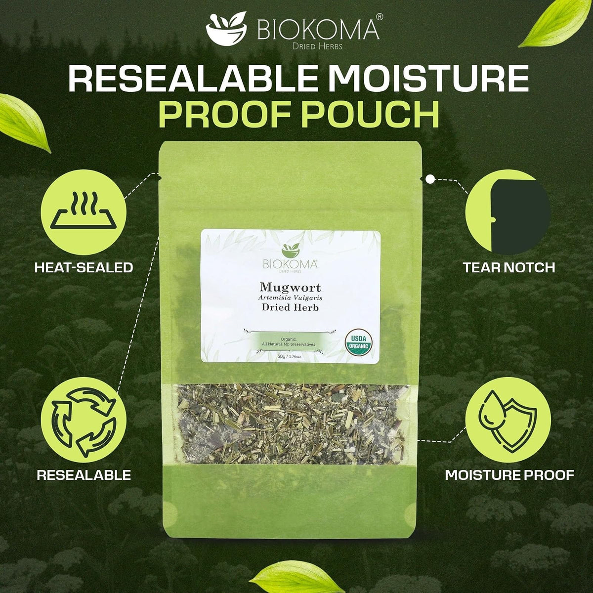 natural mugwort for herbal infusions