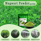 natural mugwort for wellness rituals