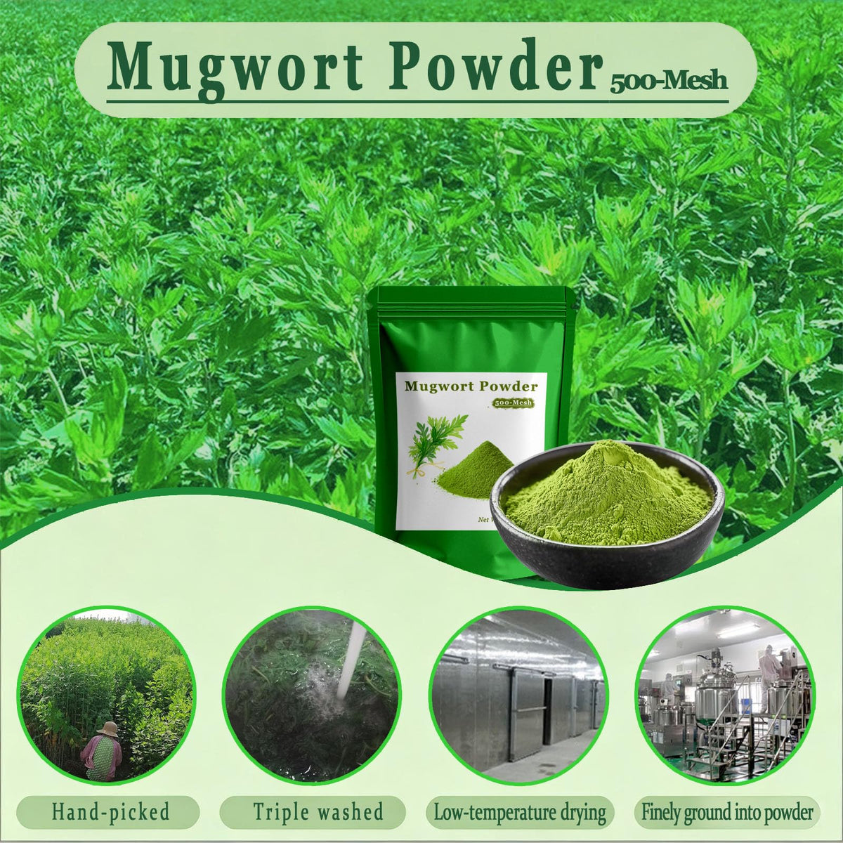 natural mugwort for wellness rituals