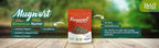 Natural mugwort tea benefits