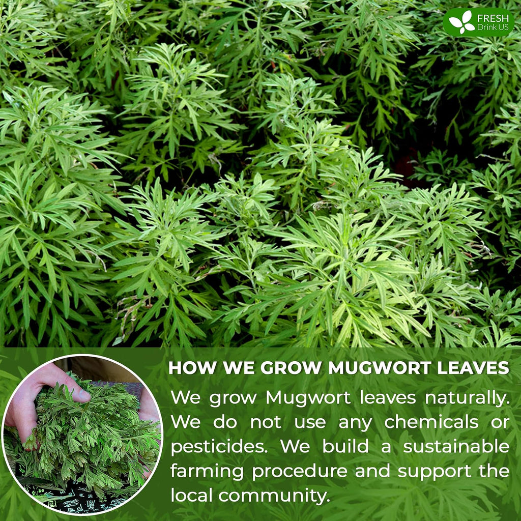 natural mugwort tea for relaxation