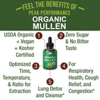natural mullein drops for wellness