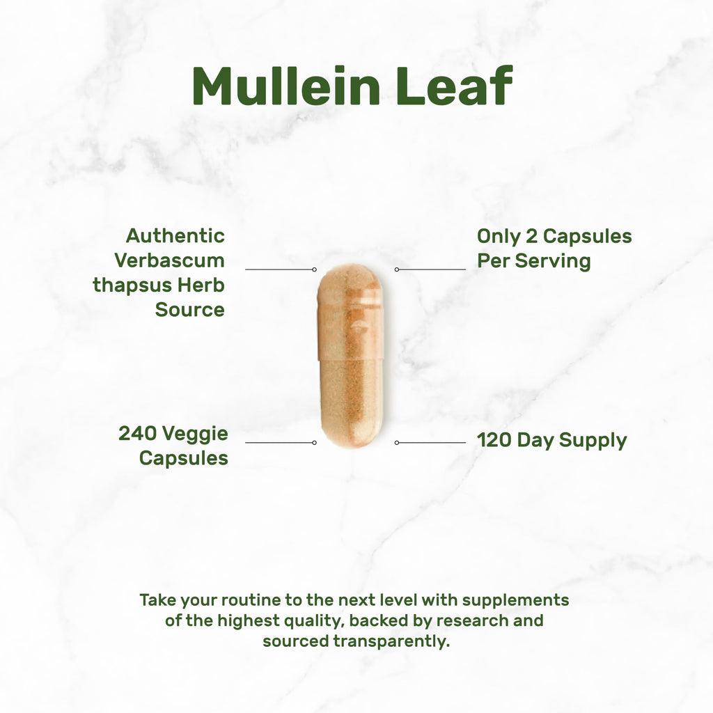 natural mullein extract for daily health