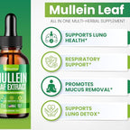 Natural Mullein extract for respiratory health