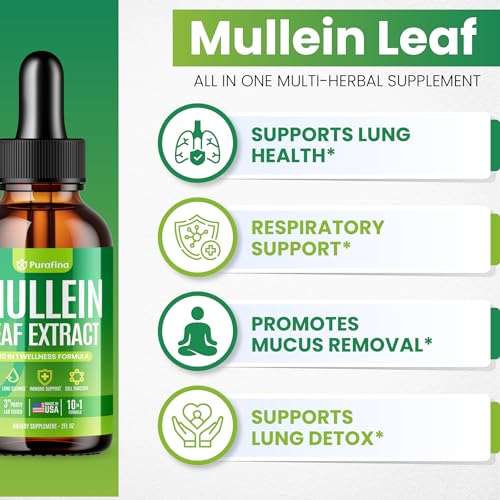 Natural Mullein extract for respiratory health