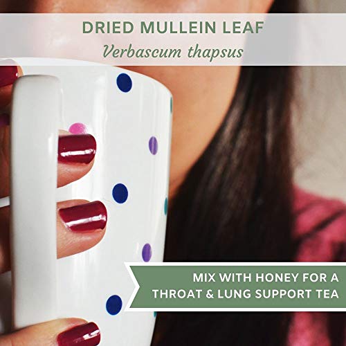 natural mullein for herbal remedies
