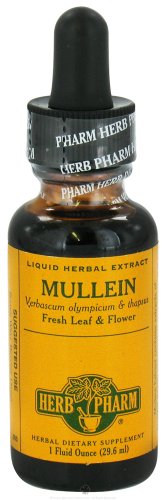 natural mullein for respiratory support