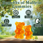 Natural Mullein gummies for easy breathing