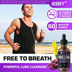 Natural Mullein Leaf Extract benefits