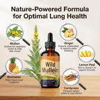 Natural Mullein leaf extract benefits