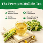 Natural Mullein tea for respiratory health