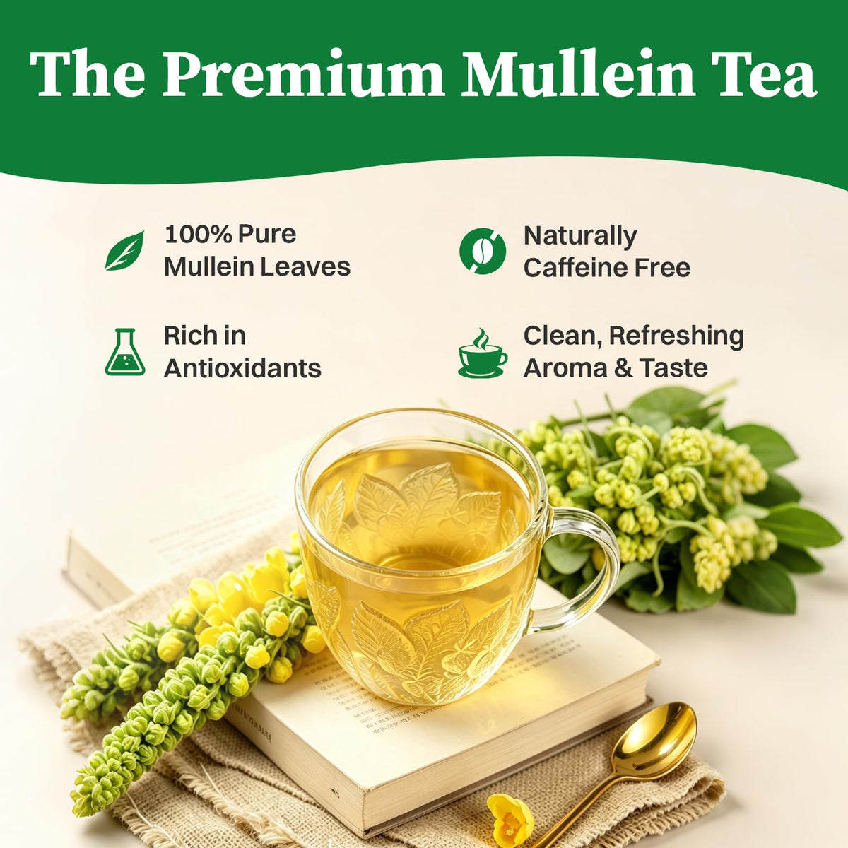 Natural Mullein tea for respiratory health