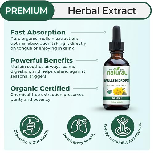 natural mullein tincture for respiratory health