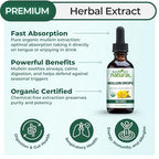 natural mullein tincture for respiratory health