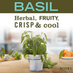 natural multi-surface concentrate with basil