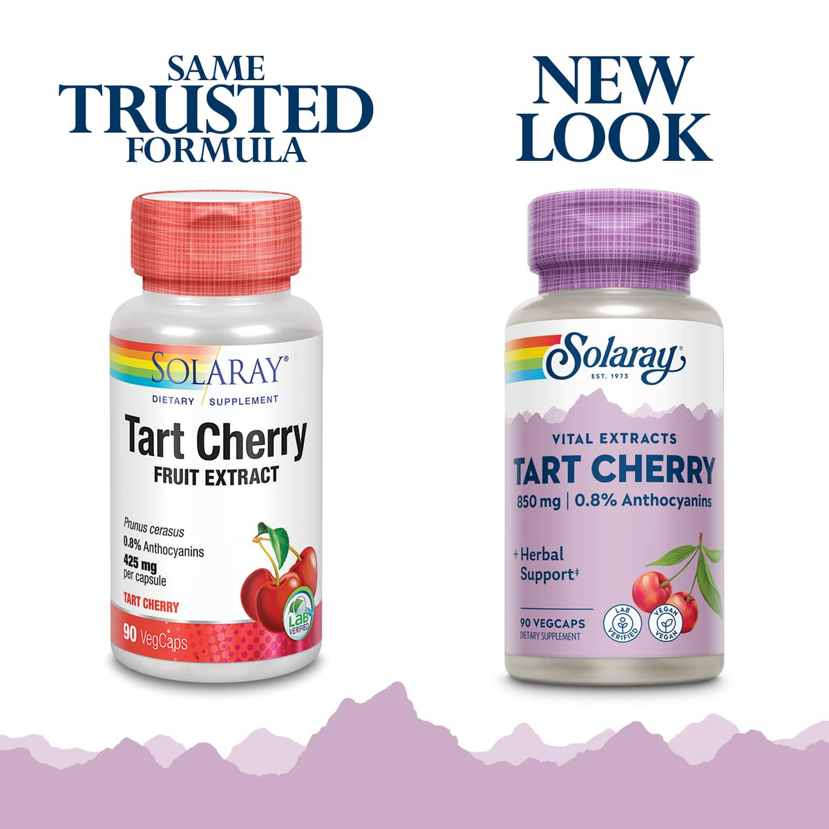 natural multivitamin for active lifestyle