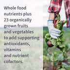 natural multivitamin for daily health