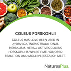 natural multivitamin for energy support