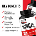 natural multivitamin for women