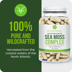 natural multivitamins for daily health