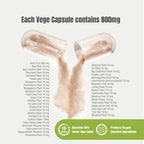 natural multivitamins for daily wellness