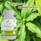 natural multivitamins for diabetes support