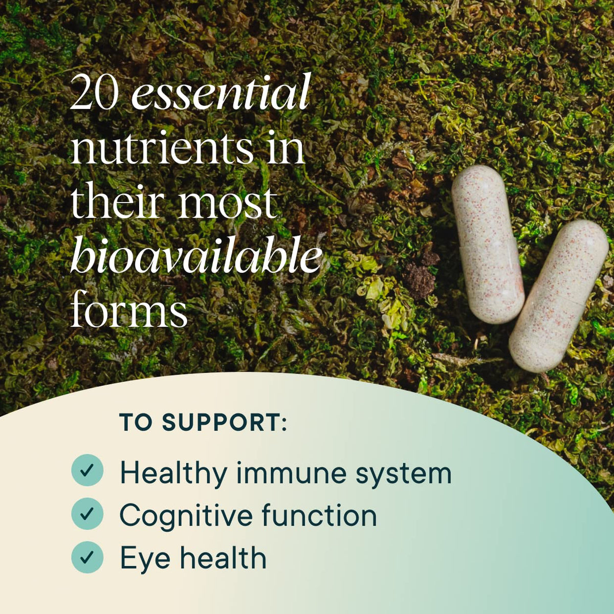 natural multivitamins for everyday health