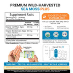 natural multivitamins for wellness