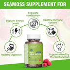 natural multivitamins for wellness