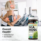 natural multivitamins with bladderwrack