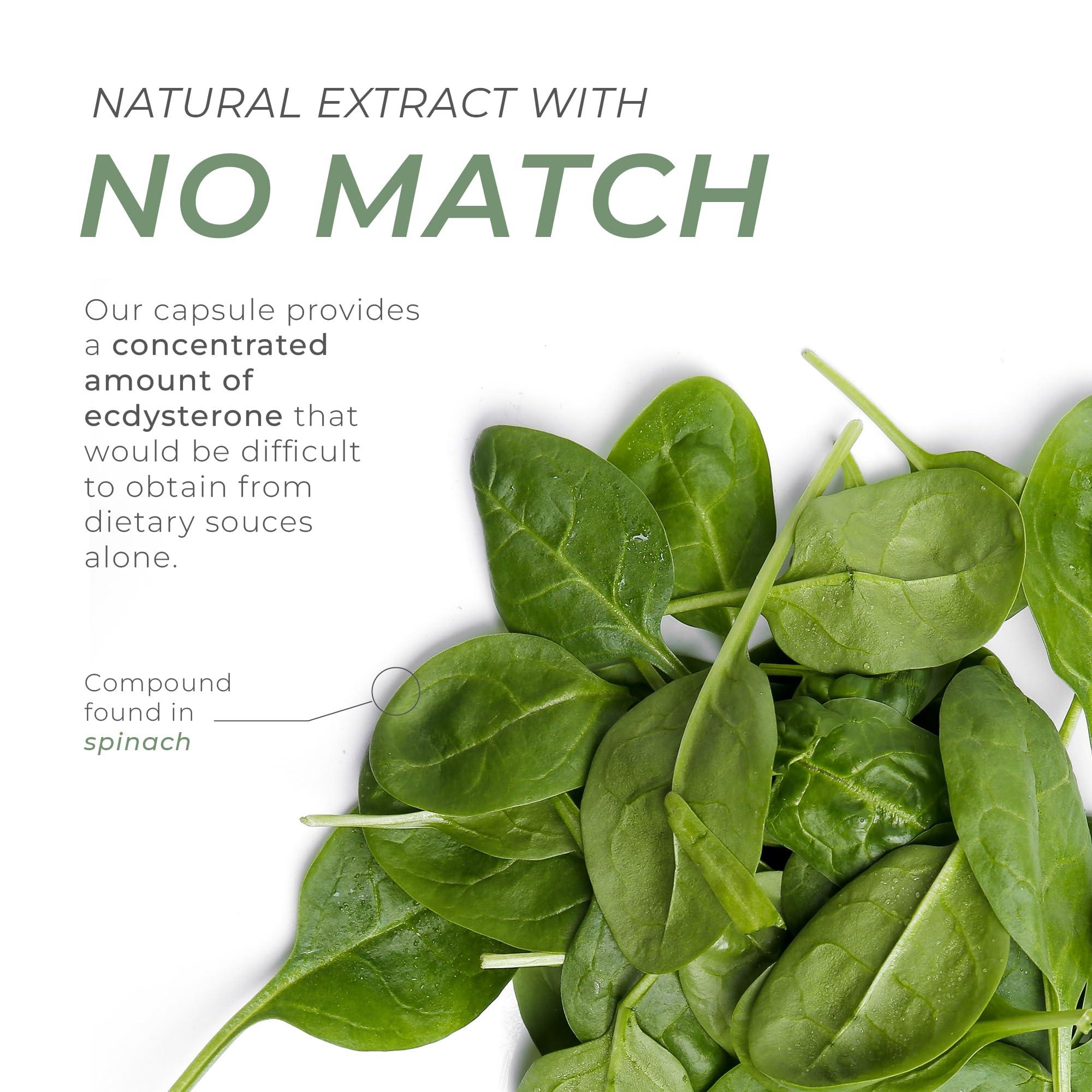 natural muscle building supplements Canada