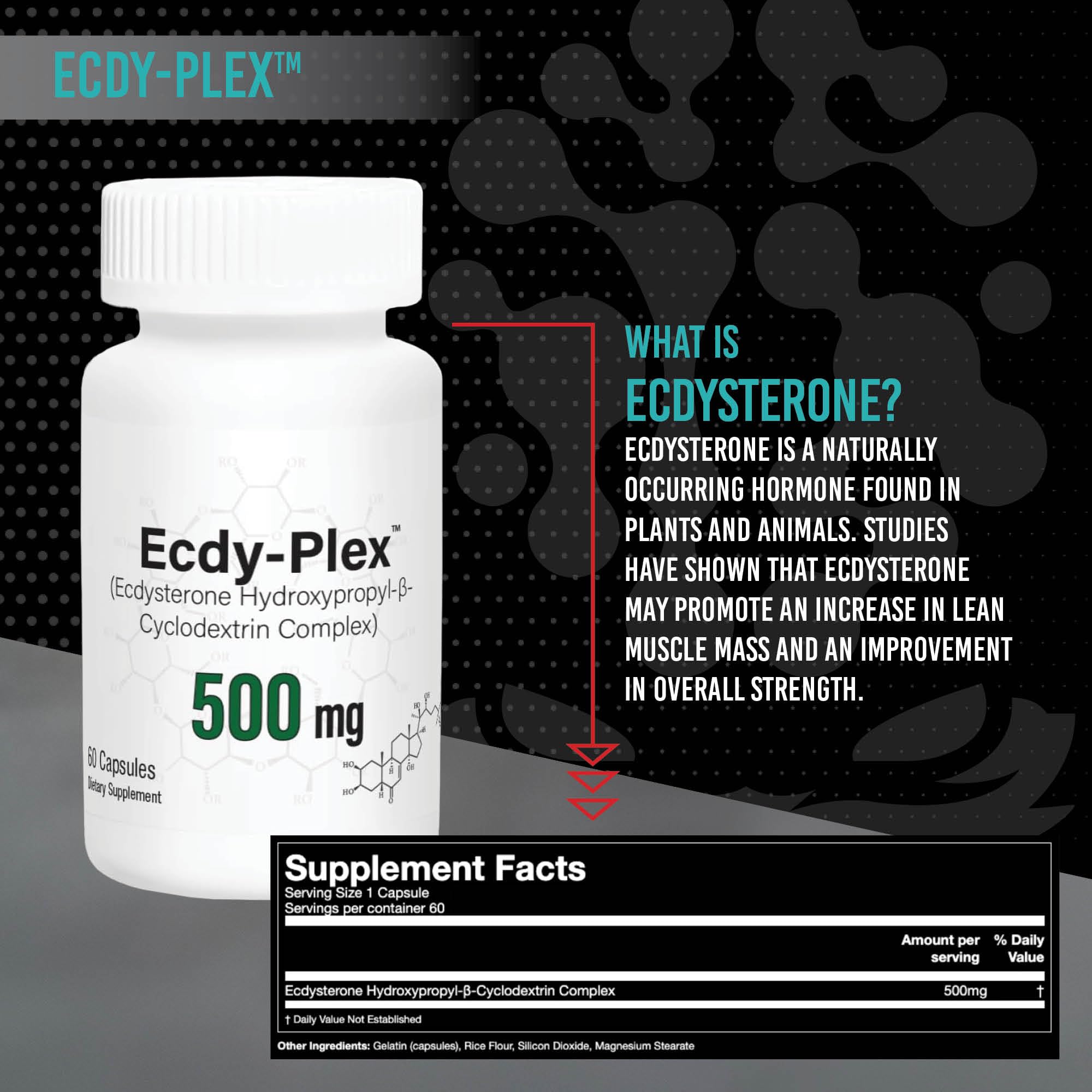 Natural muscle support with Ecdysterone