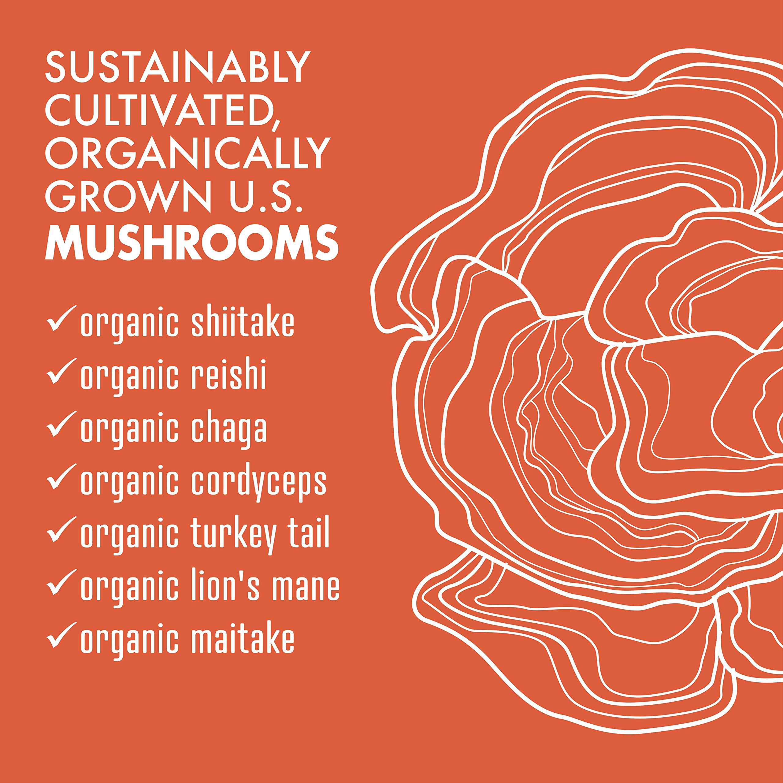 natural mushroom blend for immunity