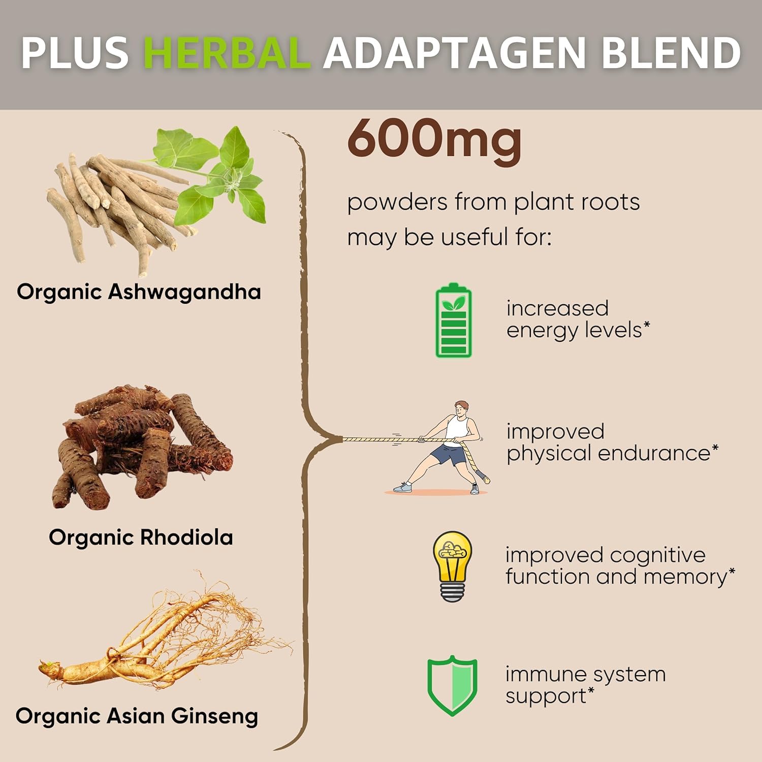 Natural mushroom blend for vitality