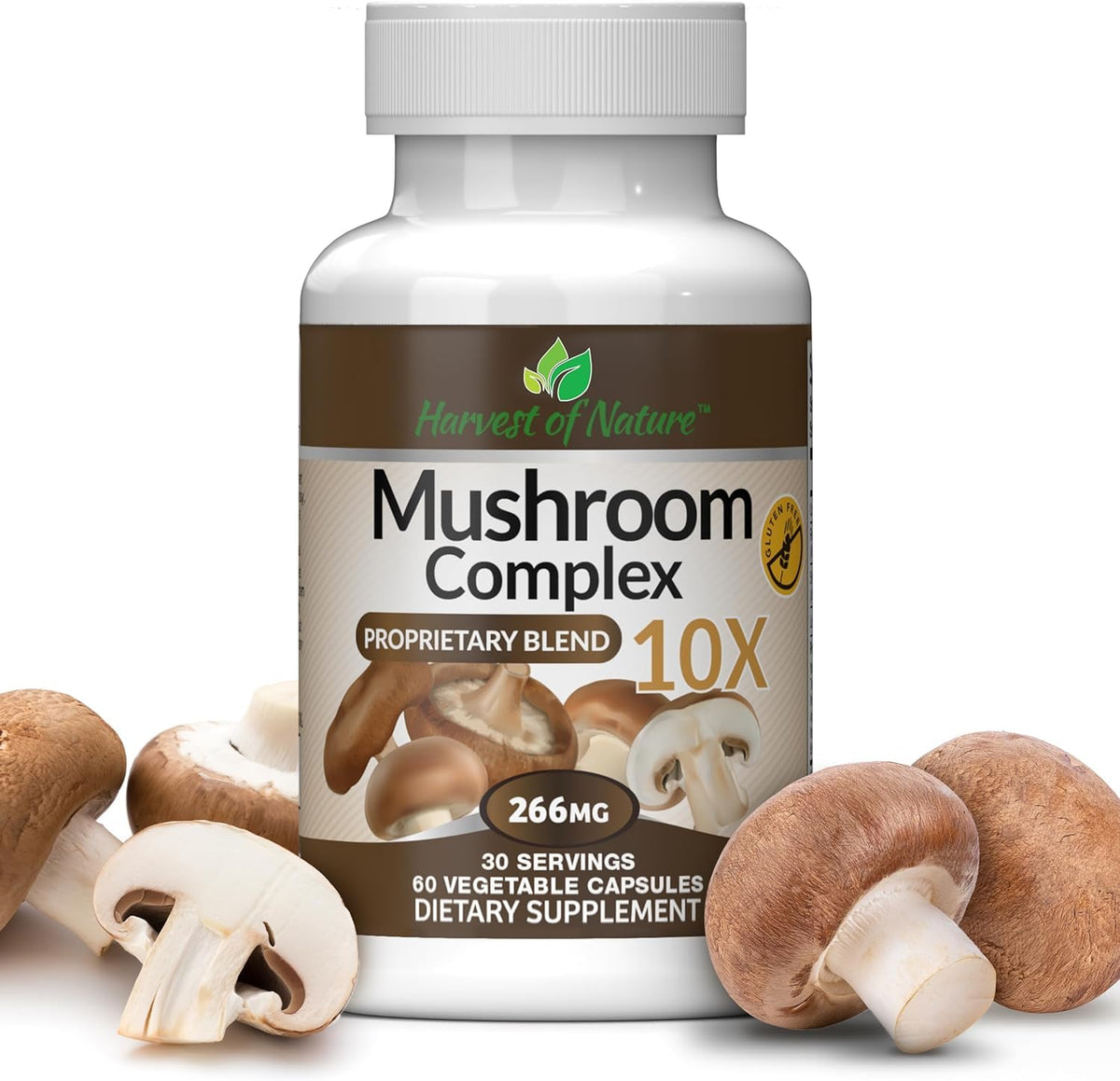 natural mushroom blend for wellness
