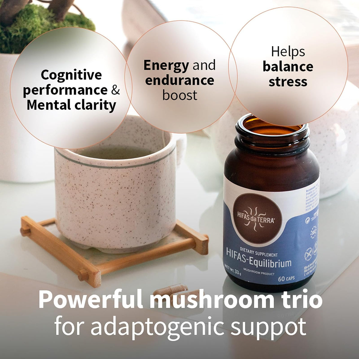 natural mushroom blend for wellness