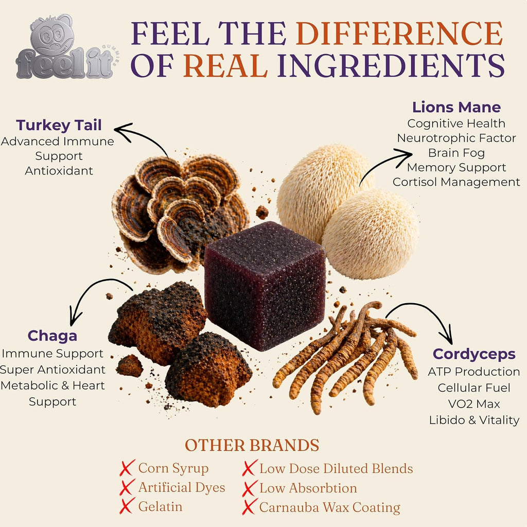 Natural mushroom blend gummies for wellness