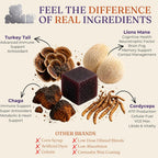 Natural mushroom blend gummies for wellness