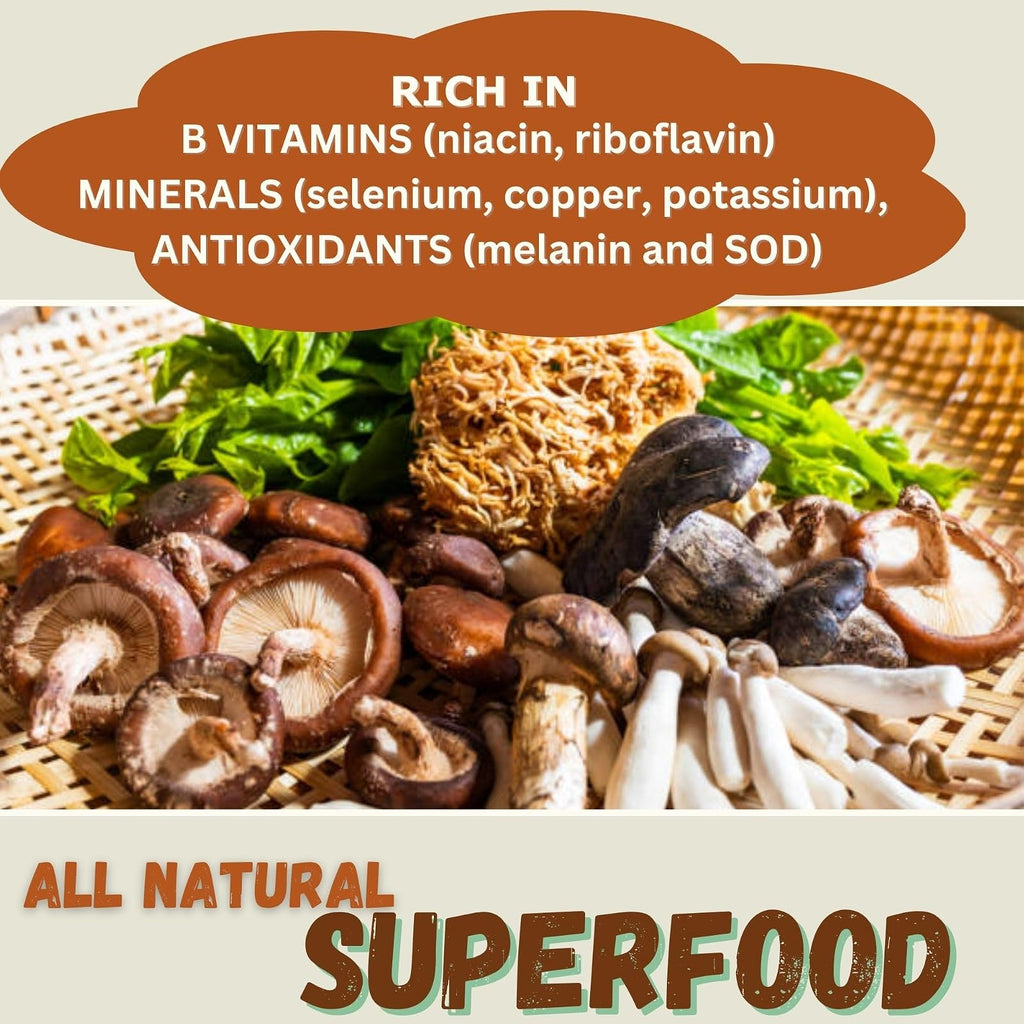 natural mushroom blends for daily energy