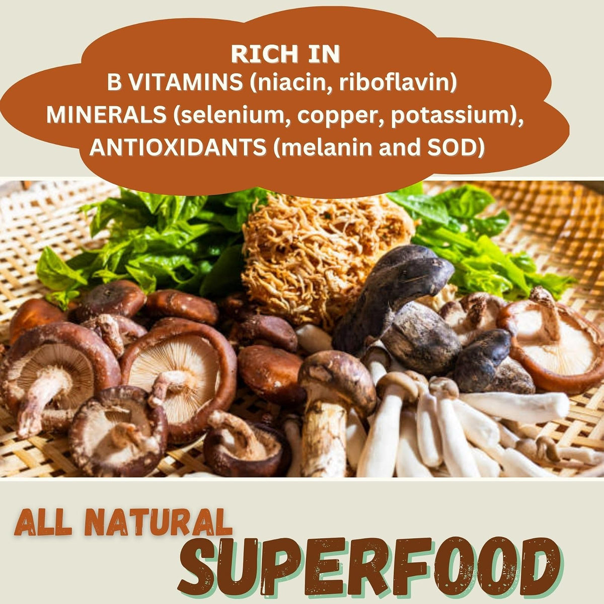 natural mushroom blends for daily energy