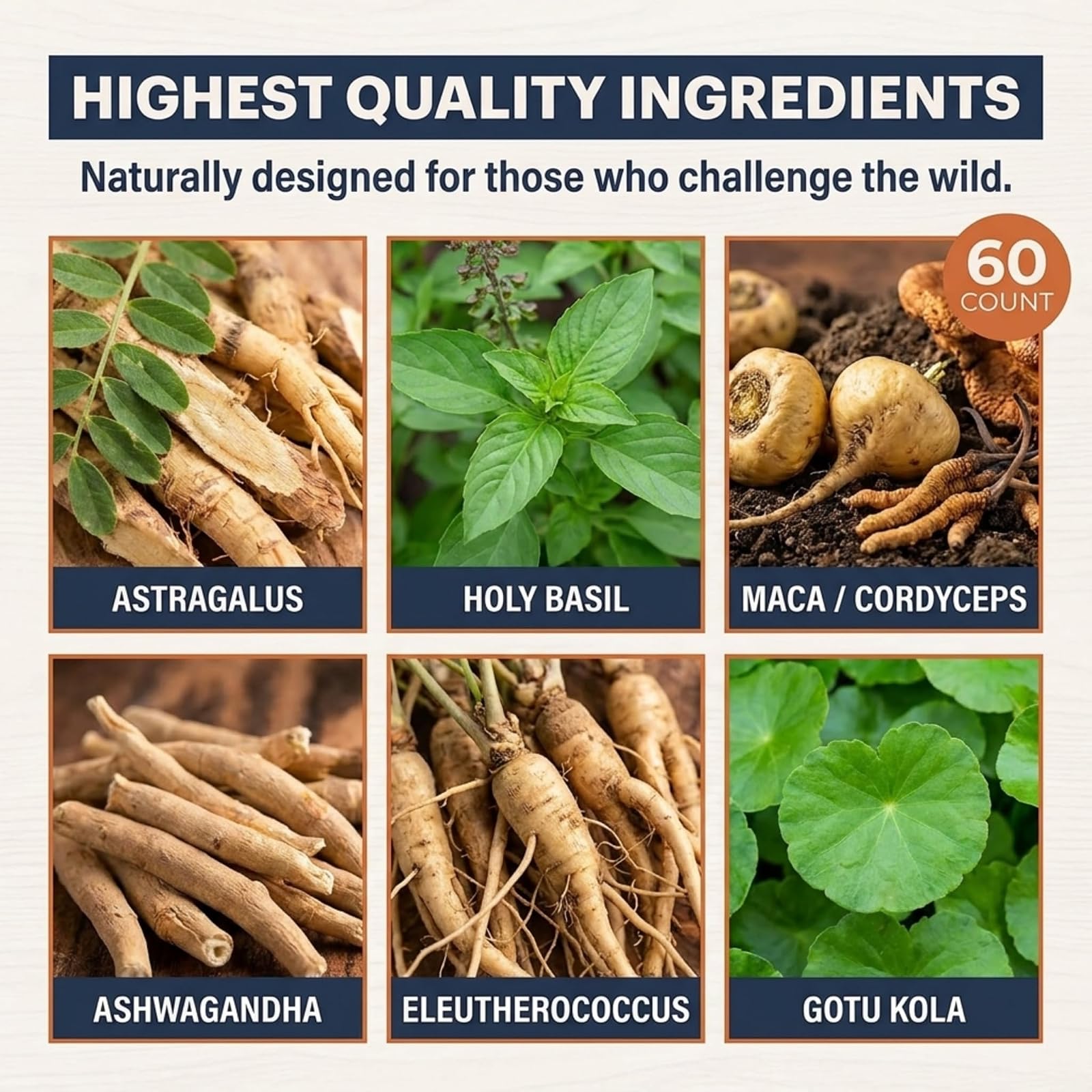 natural mushroom blends for energy boost